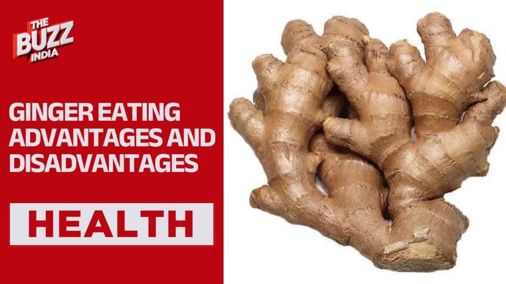 8 Best Ginger Eating Advantages And Disadvantages 2025 - The BuzzIndia